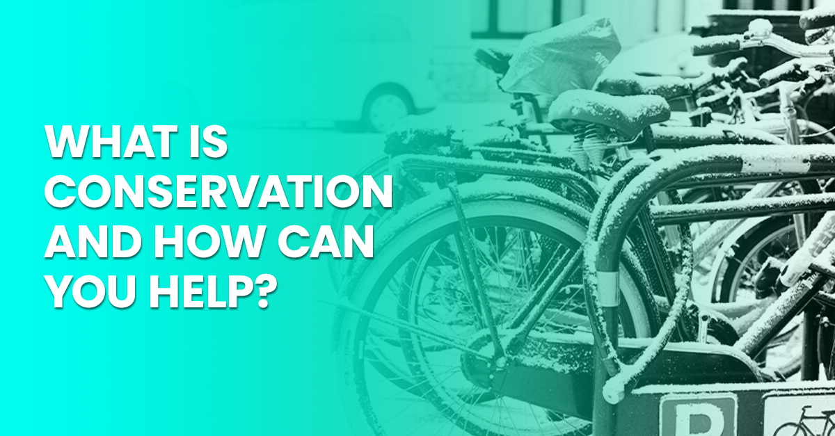 What is conservation and how can you help?